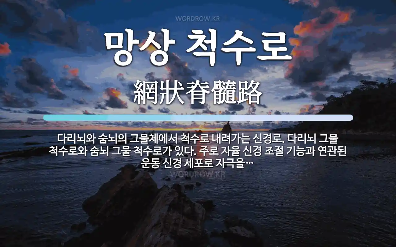 망상 척수로 뜻 다리뇌와 숨뇌의 그물체에서 척수로 내려가는 신경로 다리뇌 그물 척수로와 숨뇌 그물 척수로