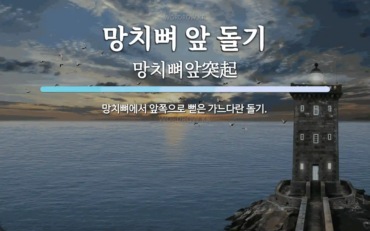 망치뼈 앞 돌기 뜻 망치뼈에서 앞쪽으로 뻗은 가느다란 돌기