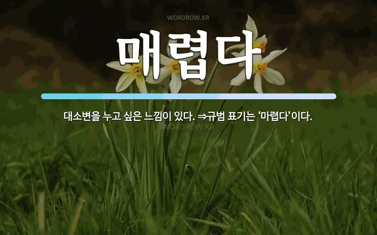 매렵다 뜻 대소변을 누고 싶은 느낌이 있다 ⇒규범 표기는 ‘마렵다이다
