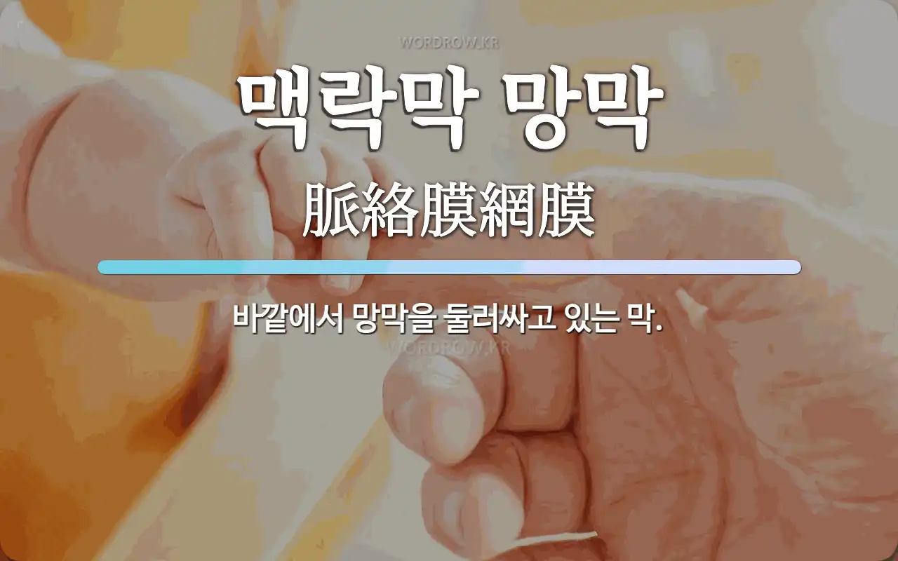 맥락막 망막 뜻 바깥에서 망막을 둘러싸고 있는 막