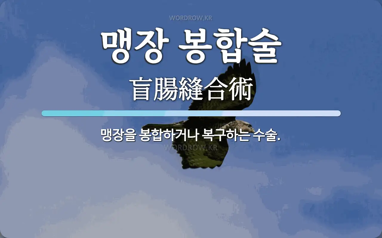 맹장 봉합술 뜻 맹장을 봉합하거나 복구하는 수술