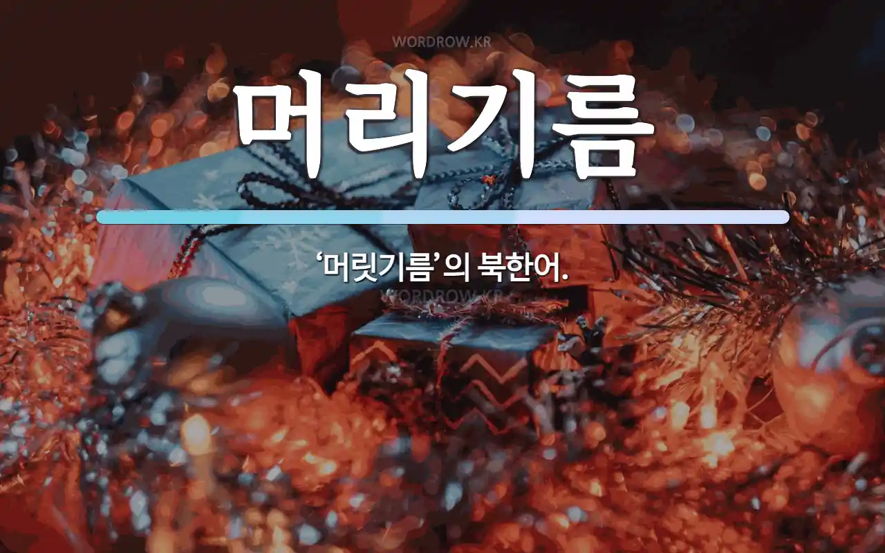 머리기름 뜻 ‘머릿기름의 북한어