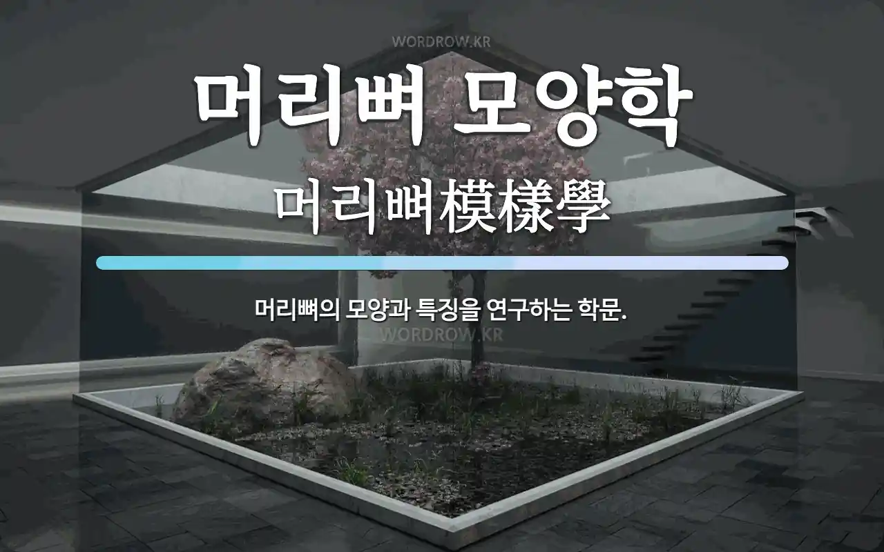 머리뼈 모양학 뜻 머리뼈의 모양과 특징을 연구하는 학문