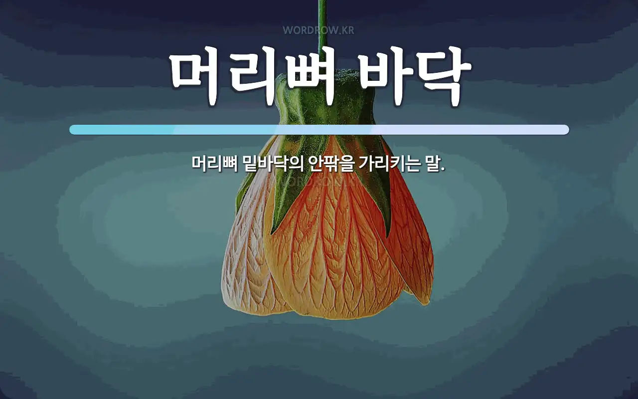 머리뼈 바닥 뜻 머리뼈 밑바닥의 안팎을 가리키는 말