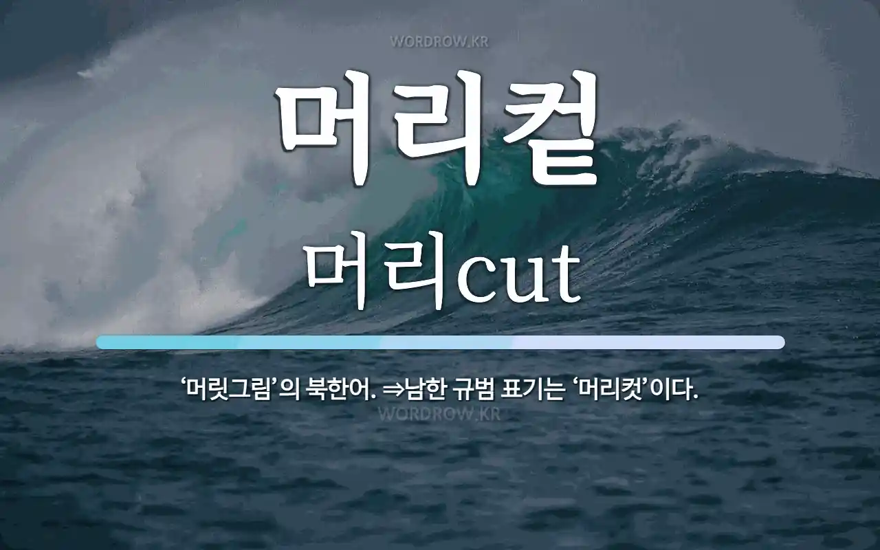 머리컽 뜻 ‘머릿그림의 북한어 ⇒남한 규범 표기는 ‘머리컷이다
