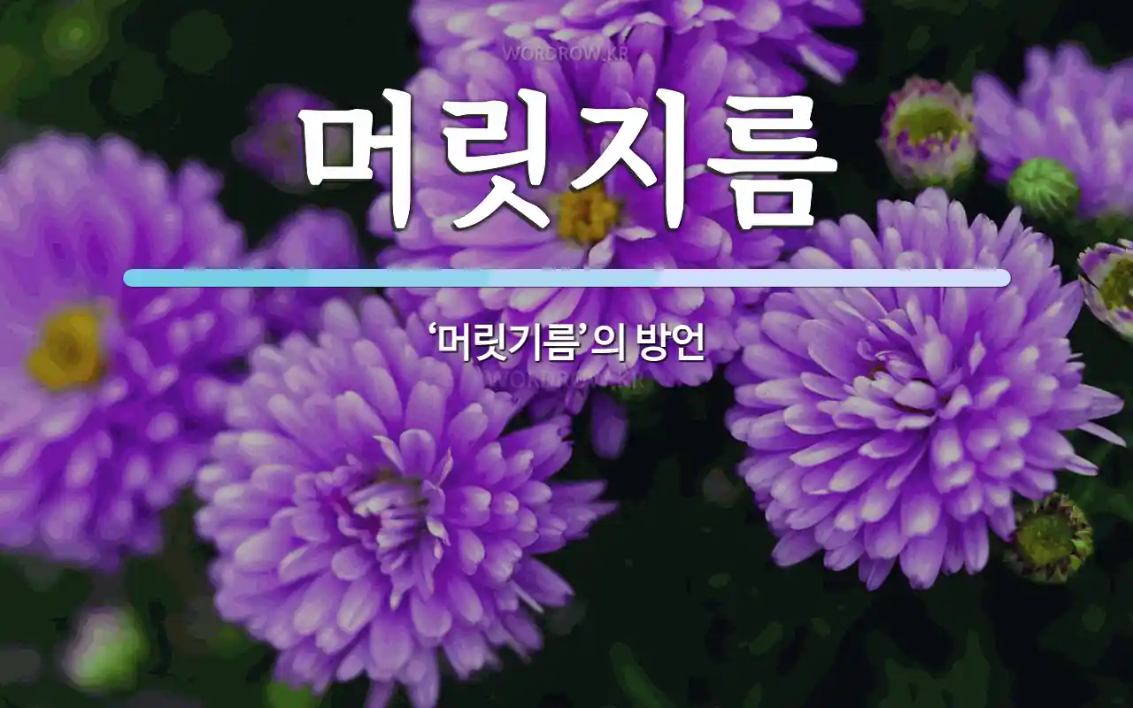 머릿지름 뜻 ‘머릿기름의 방언