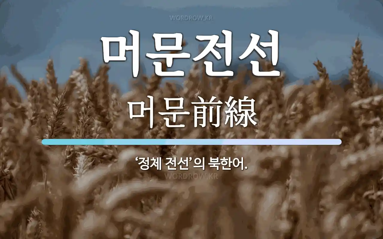 머문전선 뜻 ‘정체 전선의 북한어