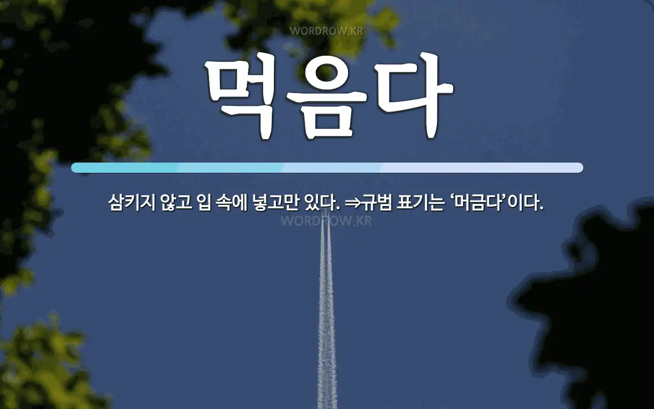 먹음다 뜻 삼키지 않고 입 속에 넣고만 있다 ⇒규범 표기는 ‘머금다이다