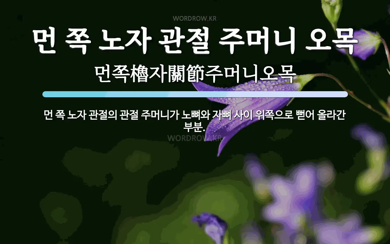 먼 쪽 노자 관절 주머니 오목 뜻 먼 쪽 노자 관절의 관절 주머니가 노뼈와 자뼈 사이 위쪽으로 뻗어 올라간 부분