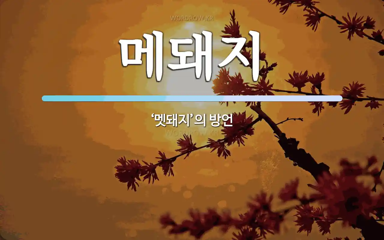 메돼지 뜻 ‘멧돼지의 방언