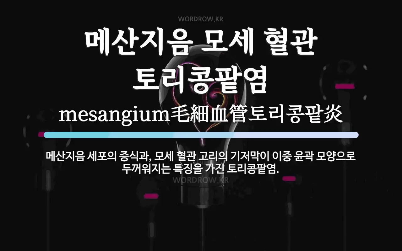 메산지음 모세 혈관 토리콩팥염 뜻 메산지음 세포의 증식과 모세 혈관 고리의 기저막이 이중 윤곽 모양으로 두꺼워지는 특징을