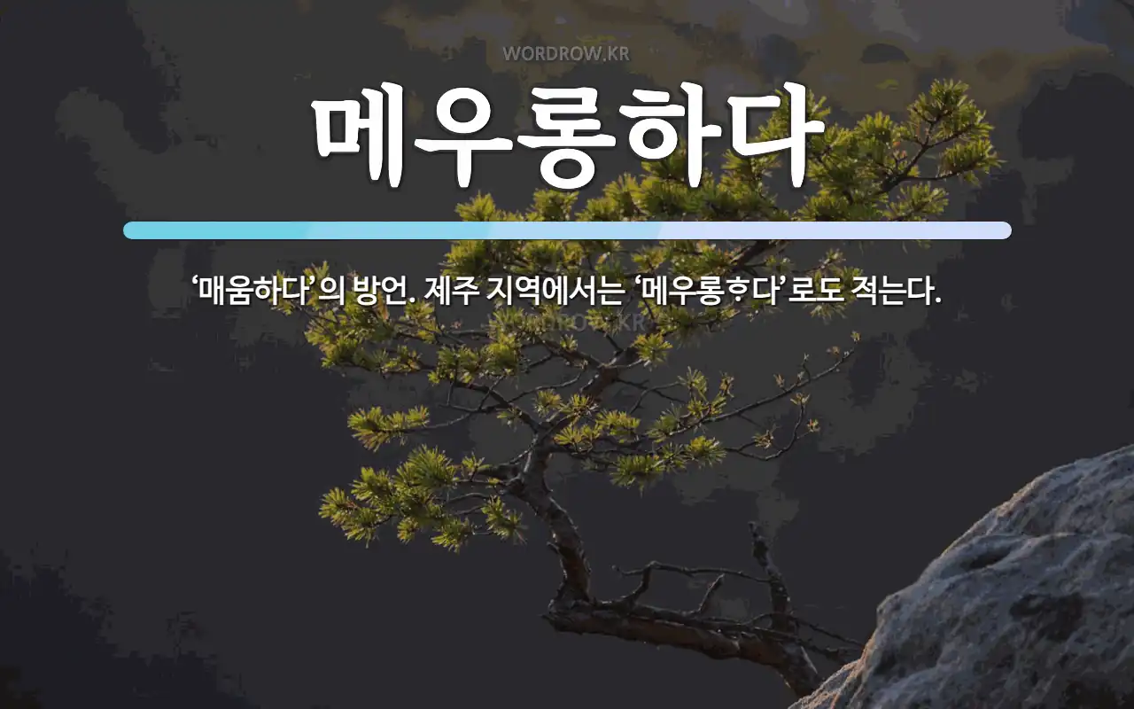 메우롱하다 뜻 ‘매움하다의 방언 제주 지역에서는 ‘메우롱uf537다로도 적는다