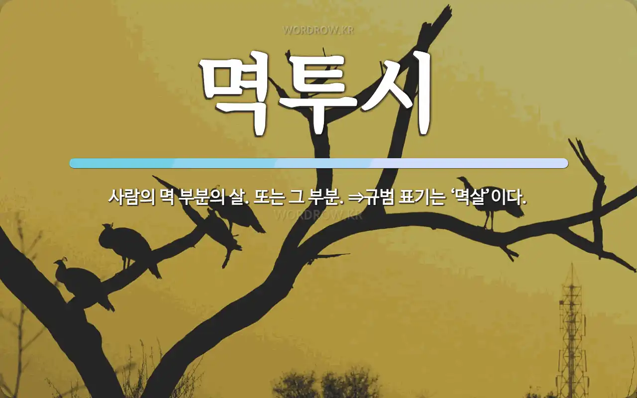 멱투시 뜻 사람의 멱 부분의 살 또는 그 부분 ⇒규범 표기는 ‘멱살이다