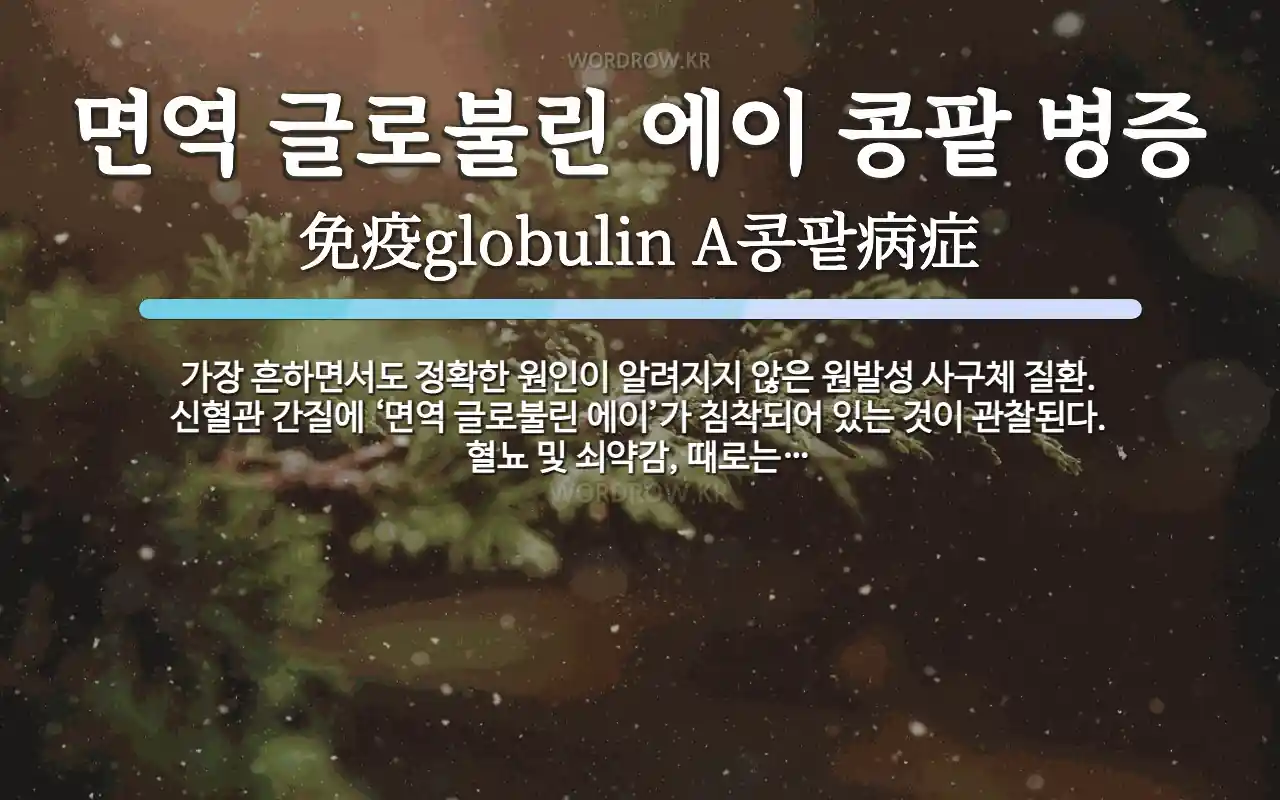 면역 글로불린 에이 콩팥 병증 뜻 가장 흔하면서도 정확한 원인이 알려지지 않은 원발성 사구체 질환 신혈관 간질에 ‘면역 글