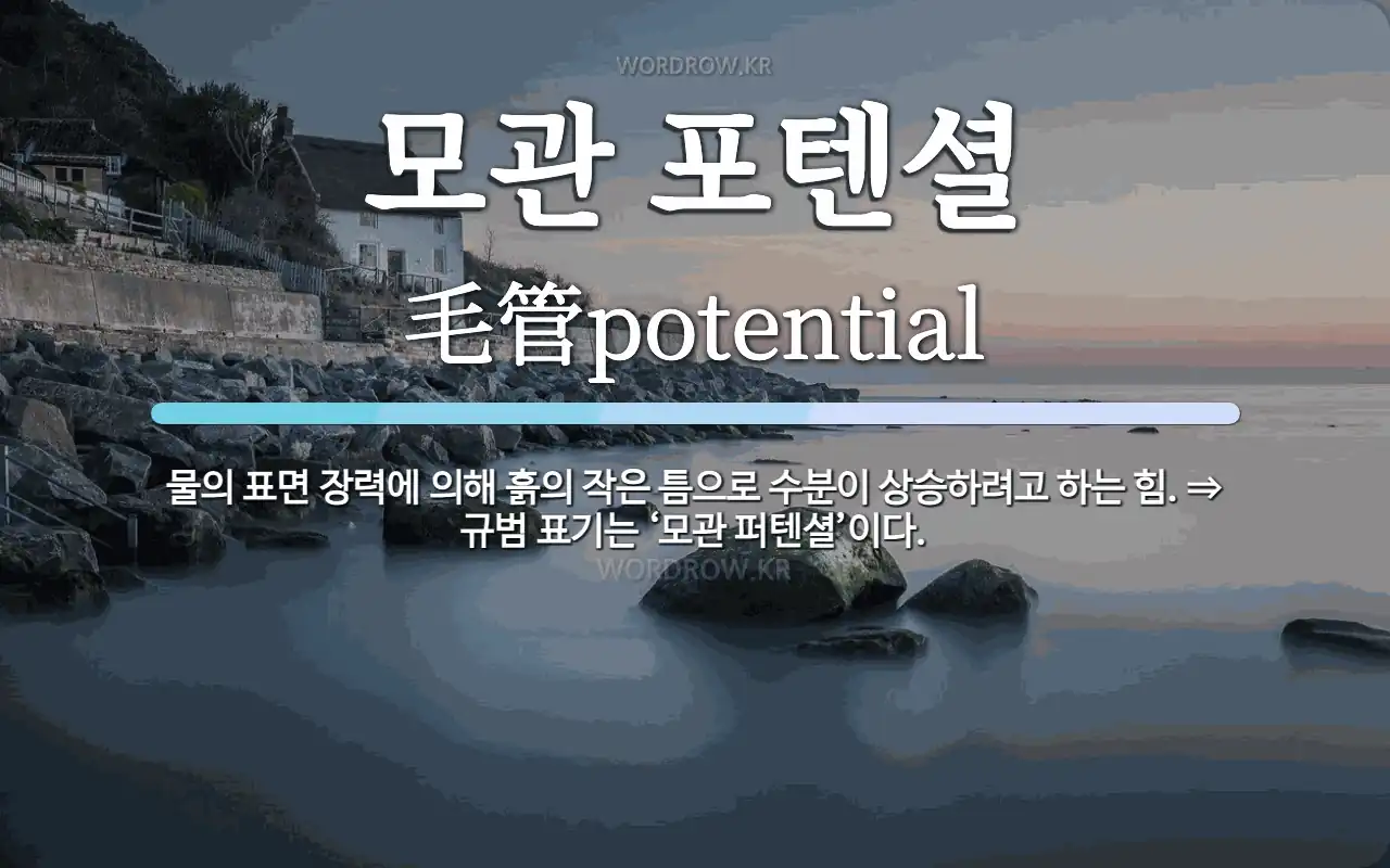 모관 포텐셜 뜻 물의 표면 장력에 의해 흙의 작은 틈으로 수분이 상승하려고 하는 힘 ⇒규범 표기는 ‘모관