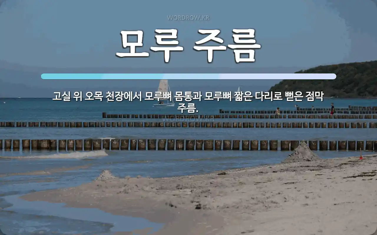 모루 주름 뜻 고실 위 오목 천장에서 모루뼈 몸통과 모루뼈 짧은 다리로 뻗은 점막 주름
