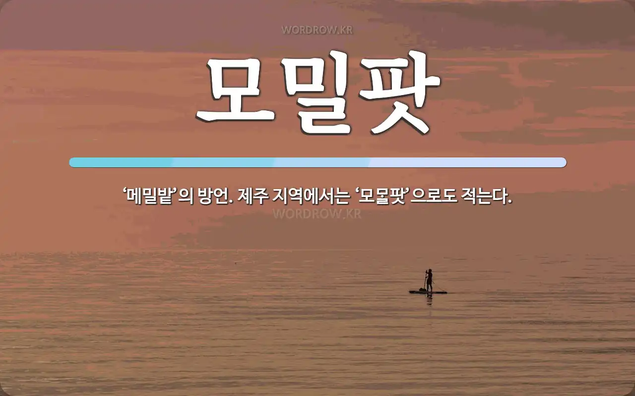 모밀팟 뜻 ‘메밀밭의 방언 제주 지역에서는 ‘모ue566팟으로도 적는다