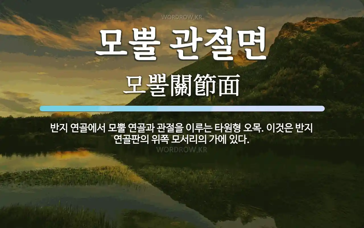모뿔 관절면 뜻 반지 연골에서 모뿔 연골과 관절을 이루는 타원형 오목 이것은 반지 연골판의 위쪽 모서리의