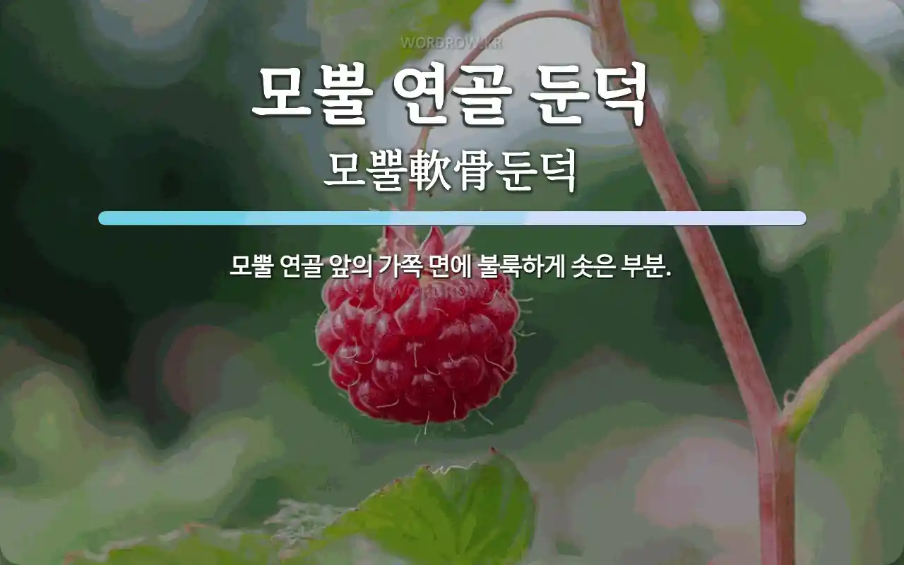 모뿔 연골 둔덕 뜻 모뿔 연골 앞의 가쪽 면에 불룩하게 솟은 부분