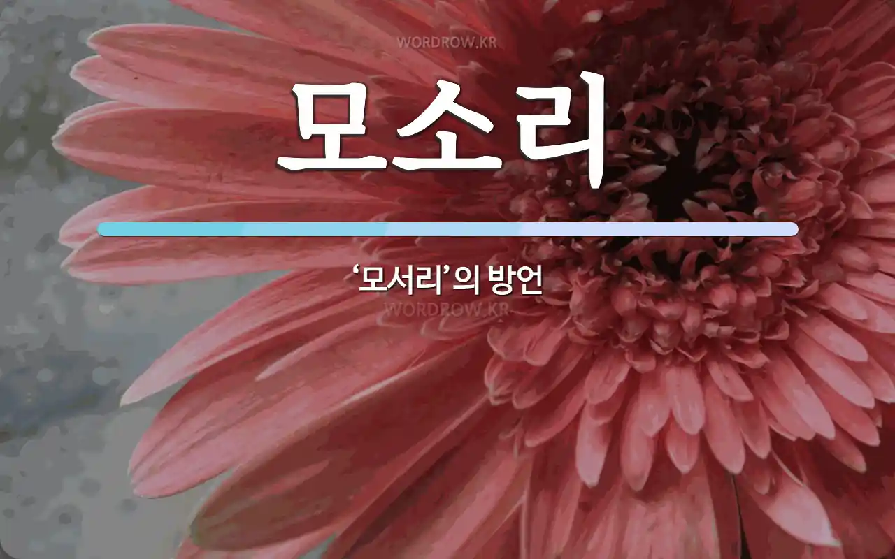 모소리 뜻 ‘모서리의 방언