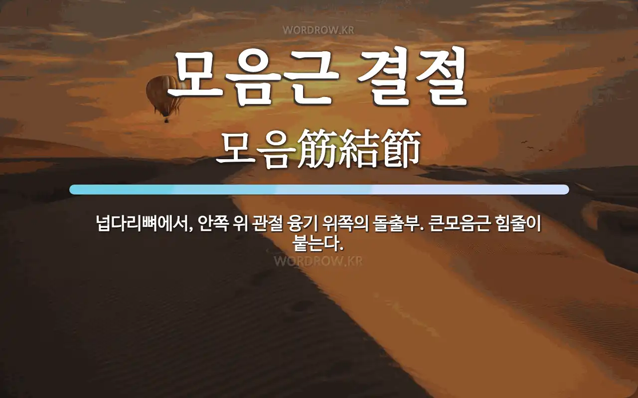 모음근 결절 뜻 넙다리뼈에서 안쪽 위 관절 융기 위쪽의 돌출부 큰모음근 힘줄이 붙는다