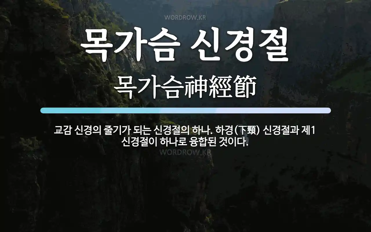 목가슴 신경절 뜻 교감 신경의 줄기가 되는 신경절의 하나 하경下頸 신경절과 제1 신경절이 하나로 융합된