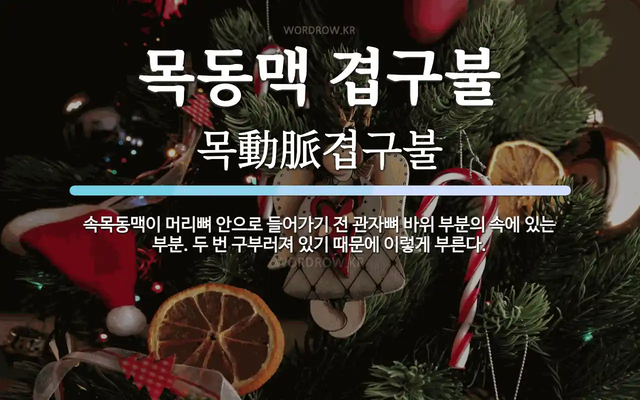 목동맥 겹구불 뜻 속목동맥이 머리뼈 안으로 들어가기 전 관자뼈 바위 부분의 속에 있는 부분 두 번 구부러져