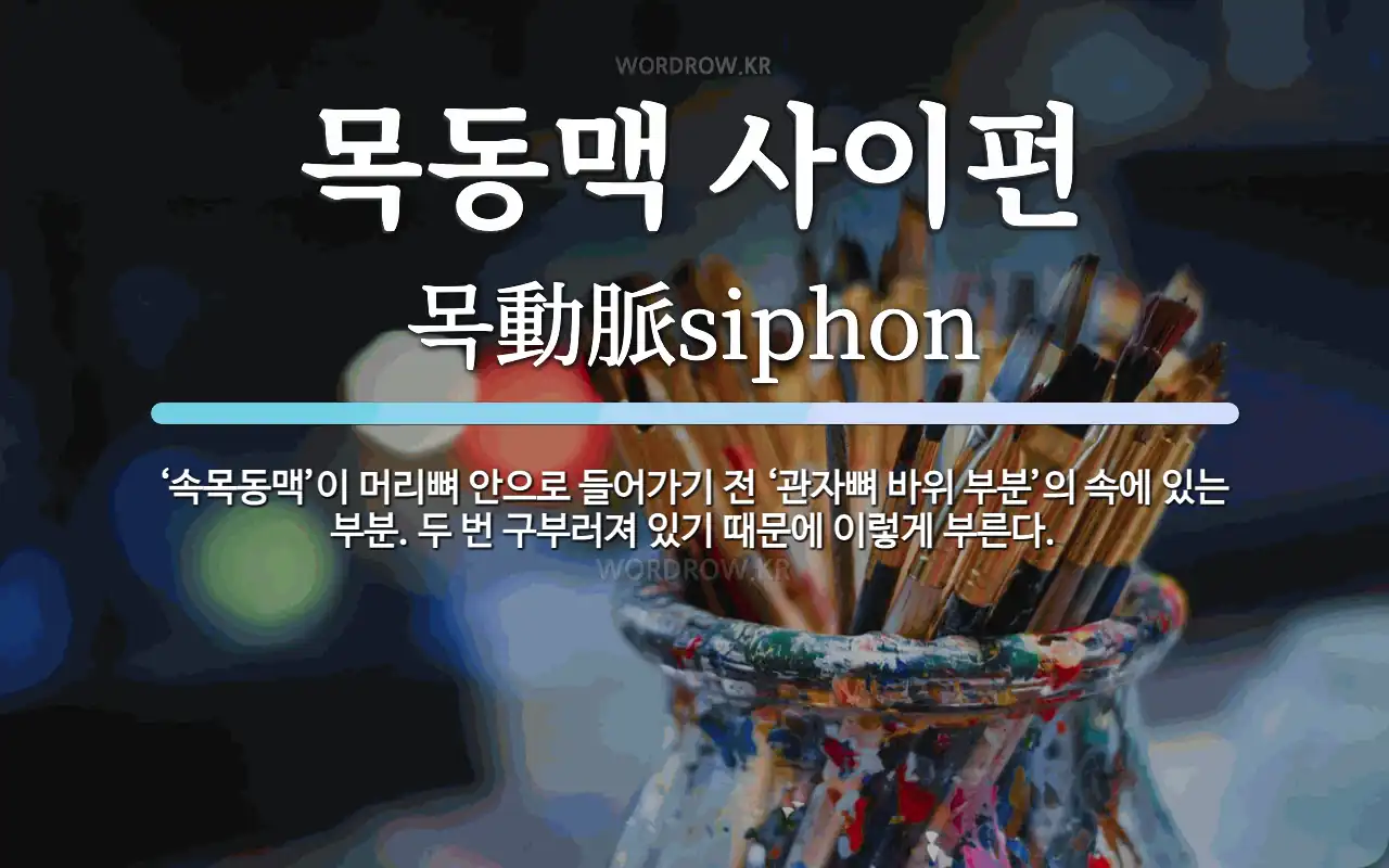 목동맥 사이펀 뜻 ‘속목동맥이 머리뼈 안으로 들어가기 전 ‘관자뼈 바위 부분의 속에 있는 부분 두 번