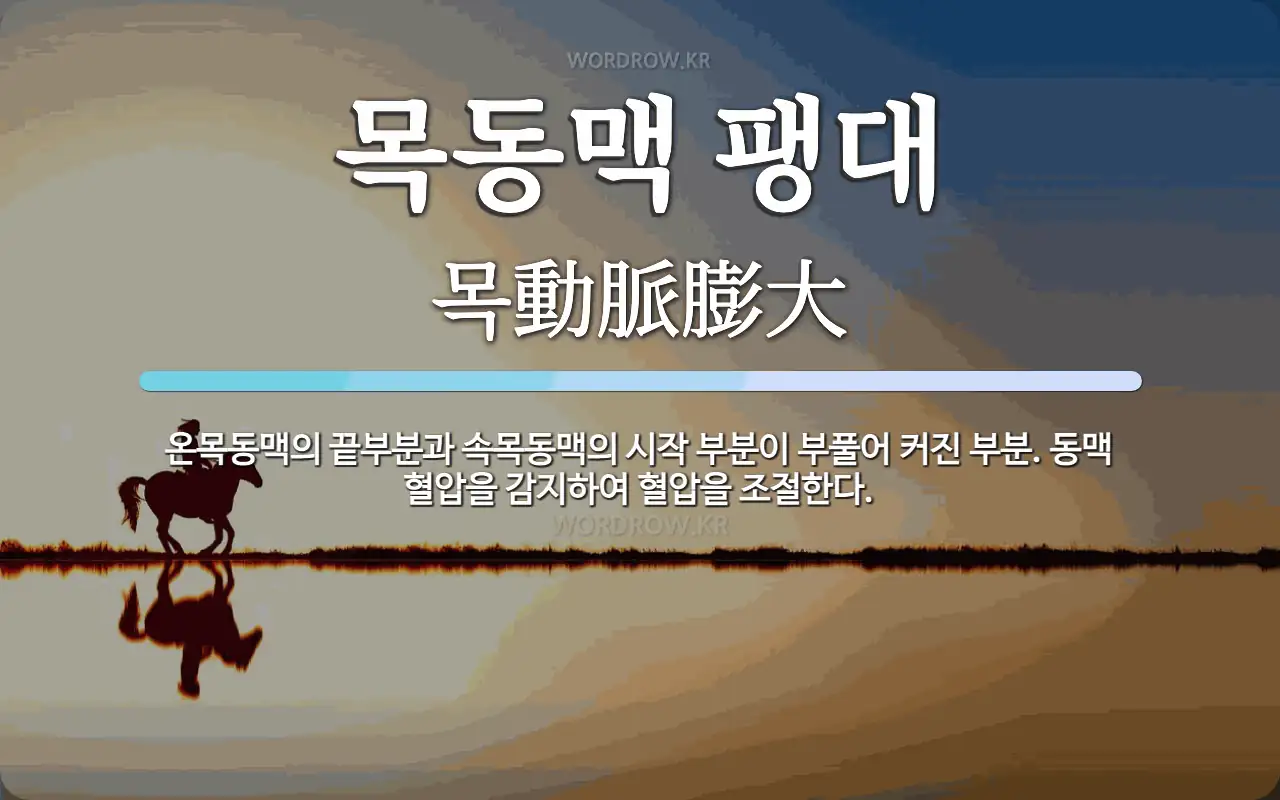 목동맥 팽대 뜻 온목동맥의 끝부분과 속목동맥의 시작 부분이 부풀어 커진 부분 동맥 혈압을 감지하여 혈압을