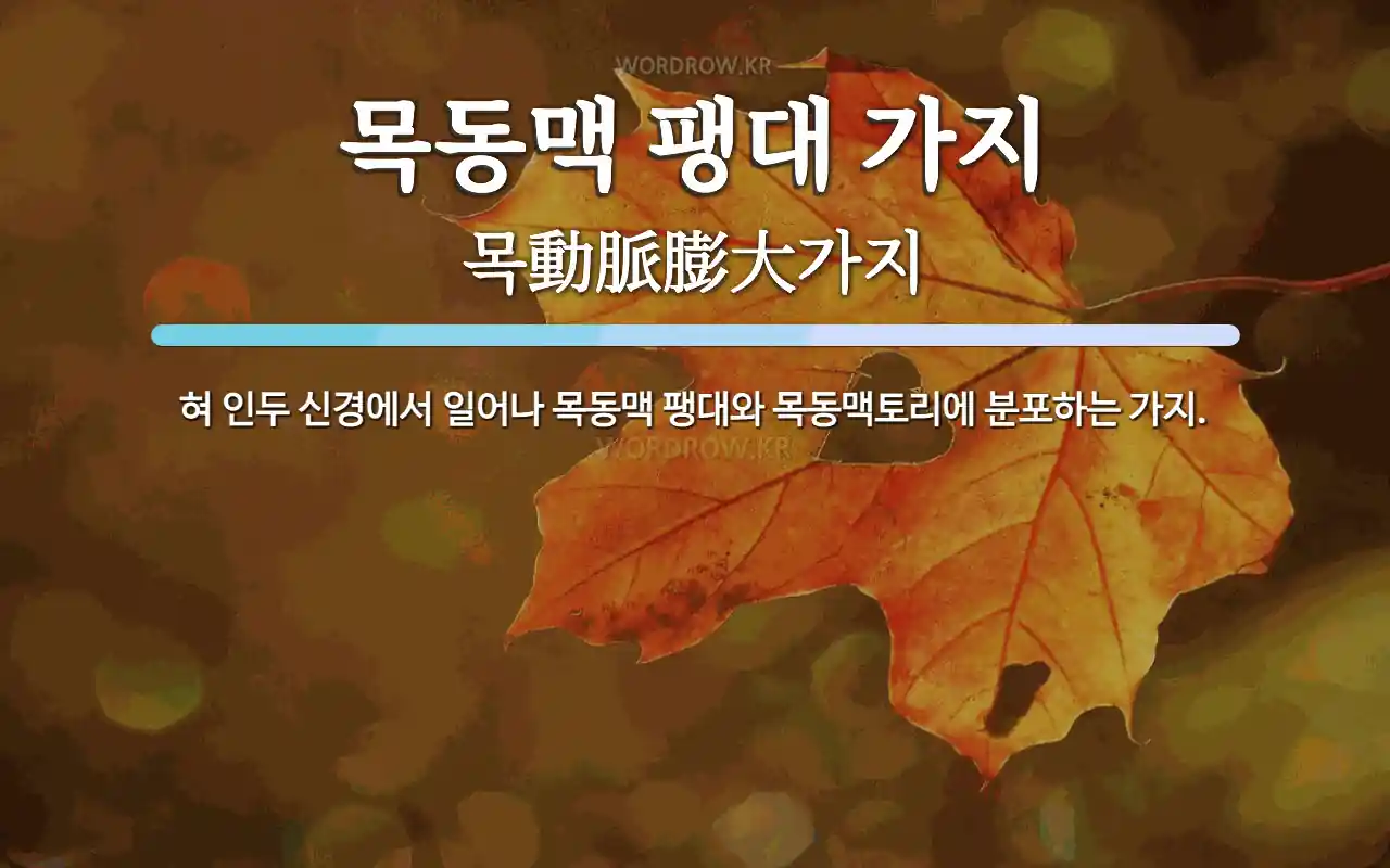 목동맥 팽대 가지 뜻 혀 인두 신경에서 일어나 목동맥 팽대와 목동맥토리에 분포하는 가지