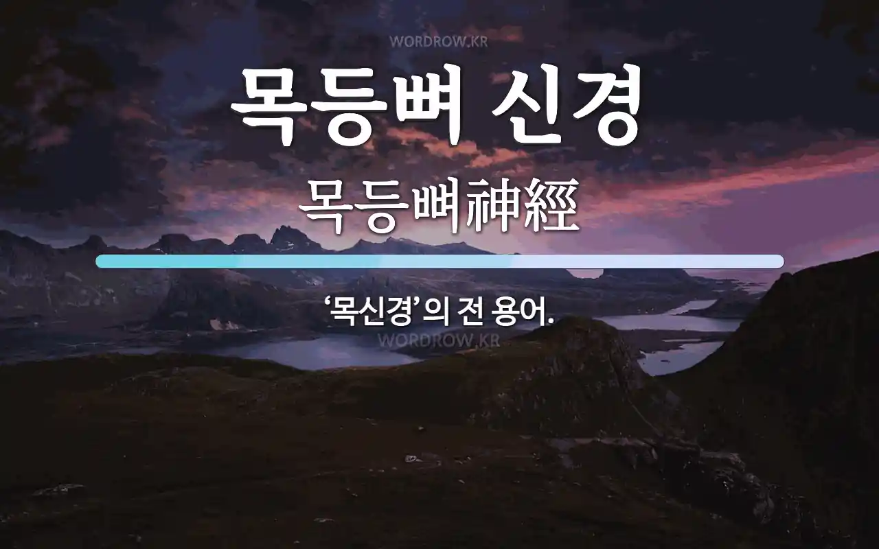 목등뼈 신경 뜻 ‘목신경의 전 용어