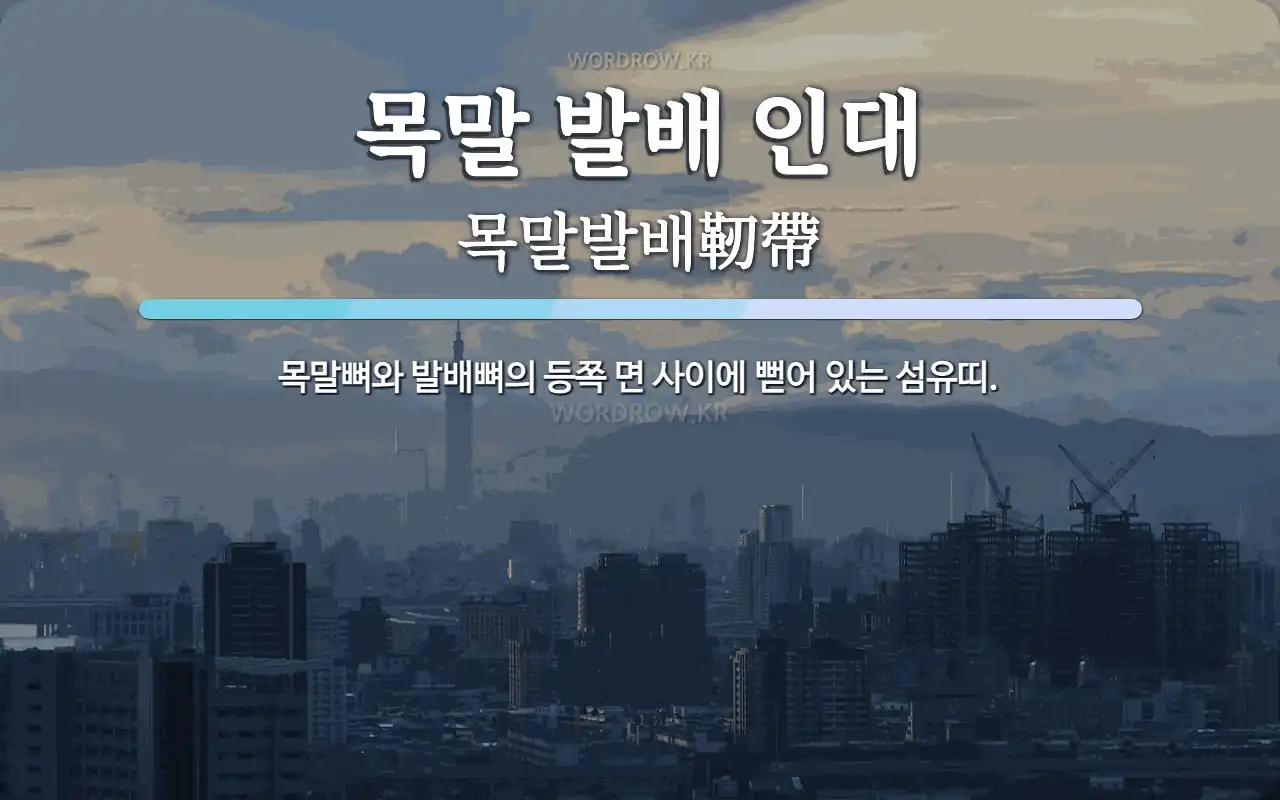 목말 발배 인대 뜻 목말뼈와 발배뼈의 등쪽 면 사이에 뻗어 있는 섬유띠