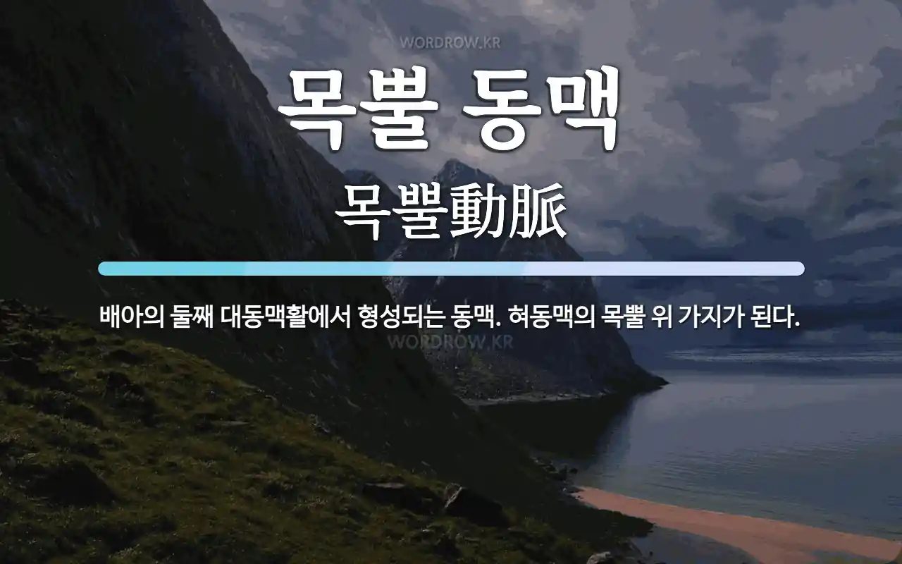 목뿔 동맥 뜻 배아의 둘째 대동맥활에서 형성되는 동맥 혀동맥의 목뿔 위 가지가 된다
