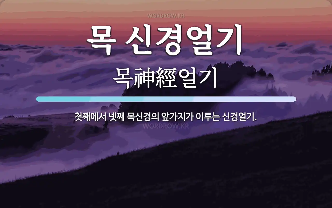목 신경얼기 뜻 첫째에서 넷째 목신경의 앞가지가 이루는 신경얼기
