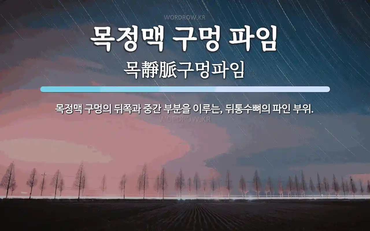 목정맥 구멍 파임 뜻 목정맥 구멍의 뒤쪽과 중간 부분을 이루는 뒤통수뼈의 파인 부위