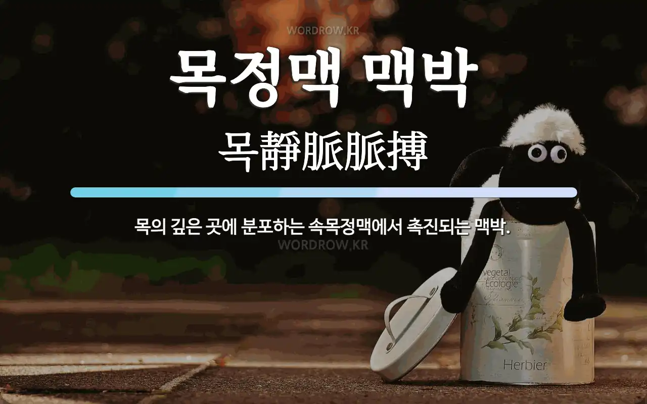 목정맥 맥박 뜻 목의 깊은 곳에 분포하는 속목정맥에서 촉진되는 맥박