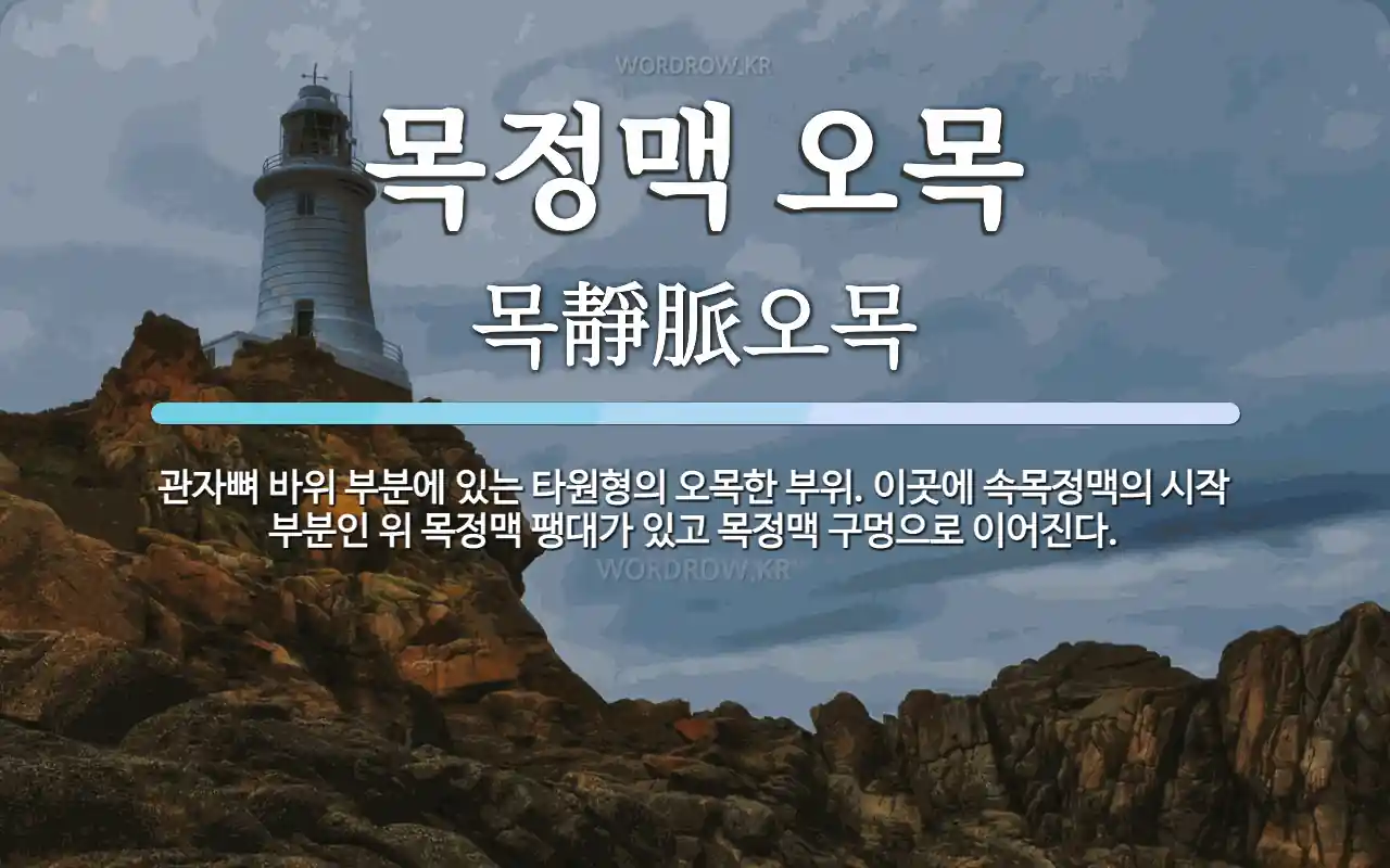 목정맥 오목 뜻 관자뼈 바위 부분에 있는 타원형의 오목한 부위 이곳에 속목정맥의 시작 부분인 위 목정맥