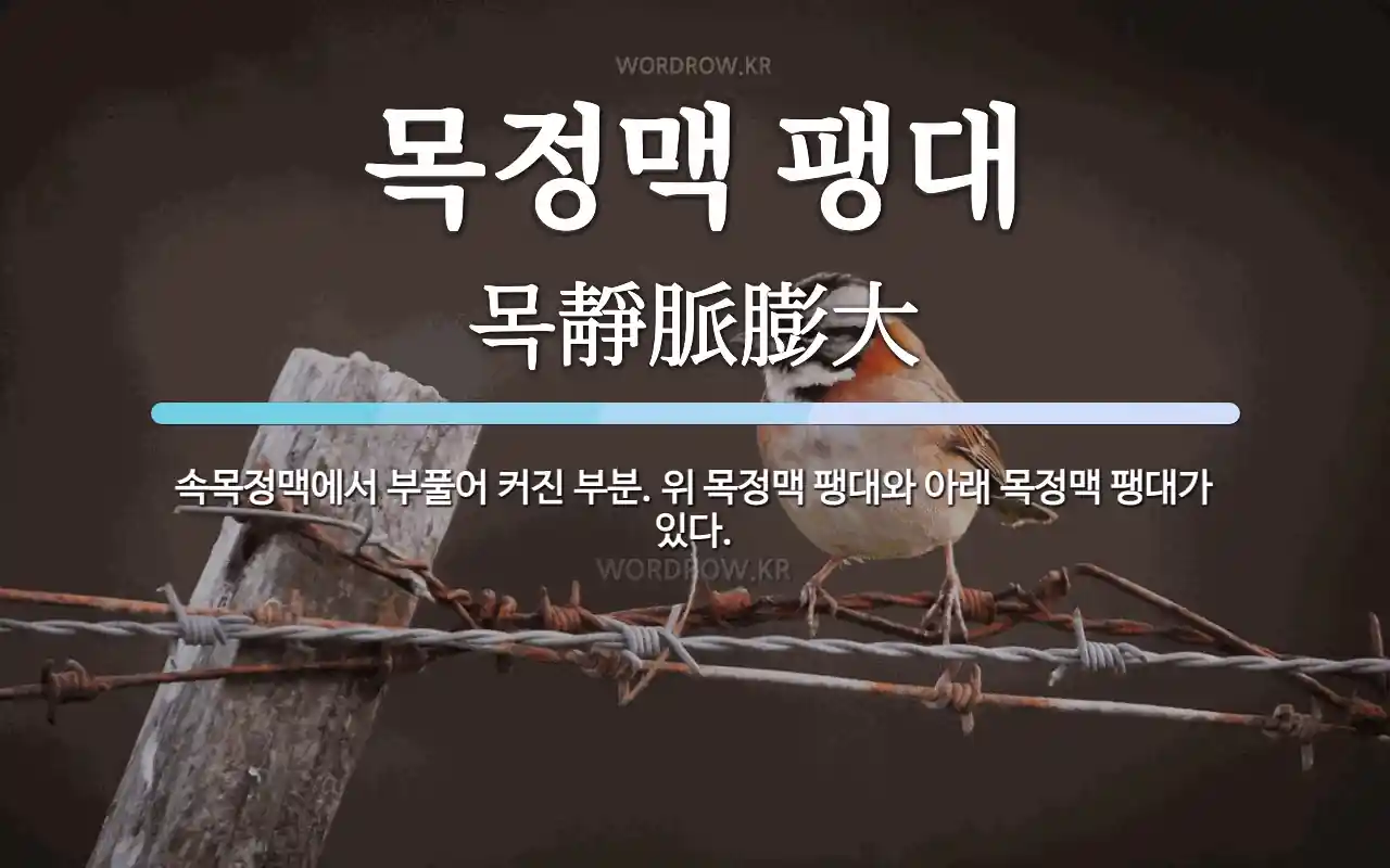 목정맥 팽대 뜻 속목정맥에서 부풀어 커진 부분 위 목정맥 팽대와 아래 목정맥 팽대가 있다