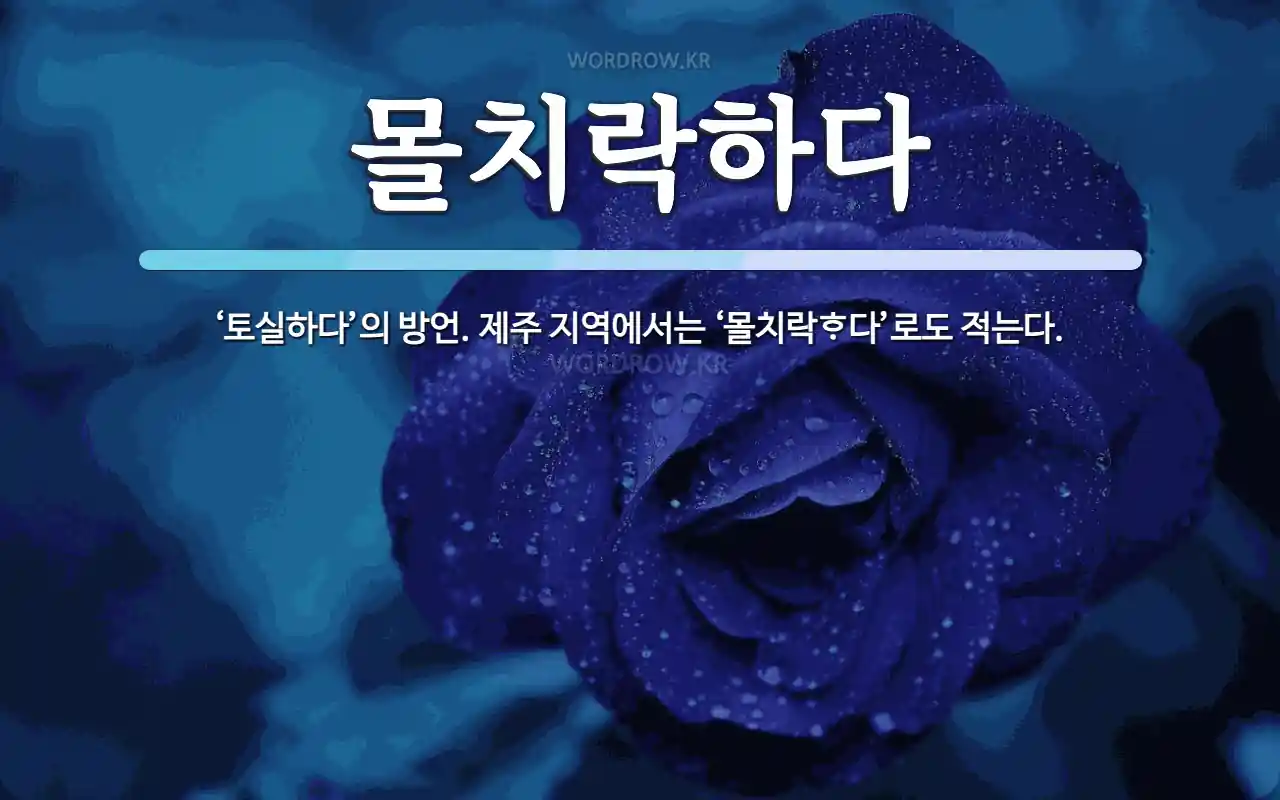 몰치락하다 뜻 ‘토실하다의 방언 제주 지역에서는 ‘몰치락uf537다로도 적는다