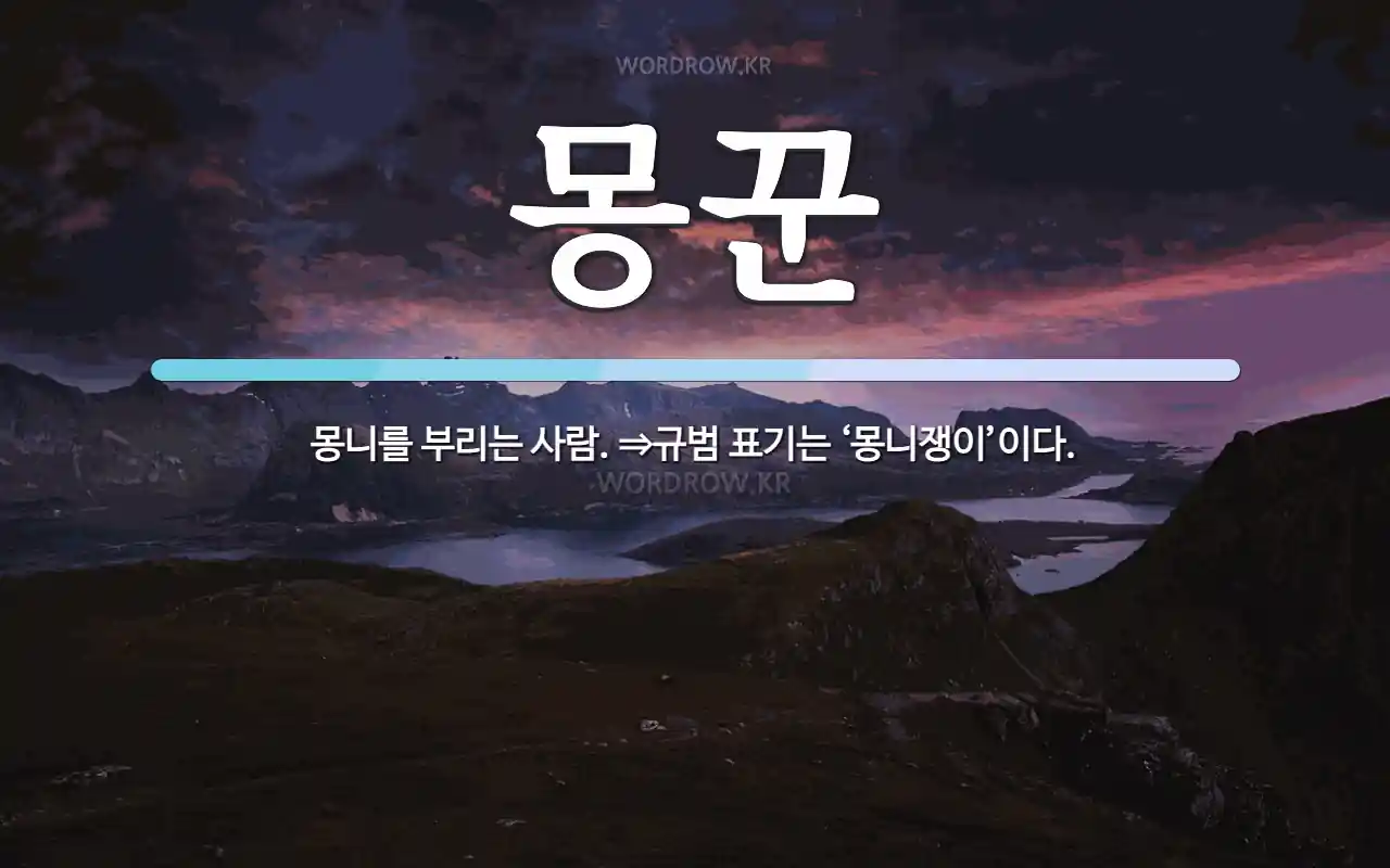 몽꾼 뜻 몽니를 부리는 사람 ⇒규범 표기는 ‘몽니쟁이이다