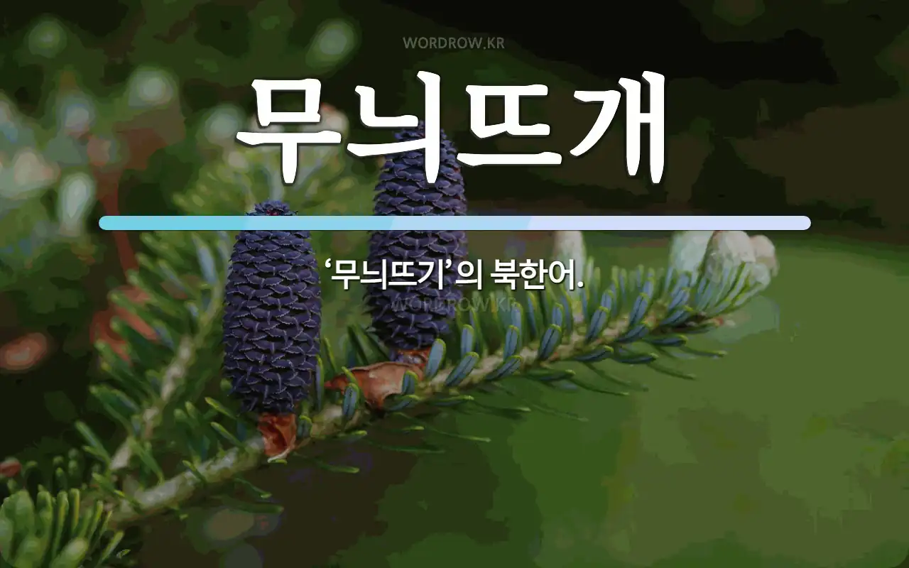 무늬뜨개 뜻 ‘무늬뜨기의 북한어