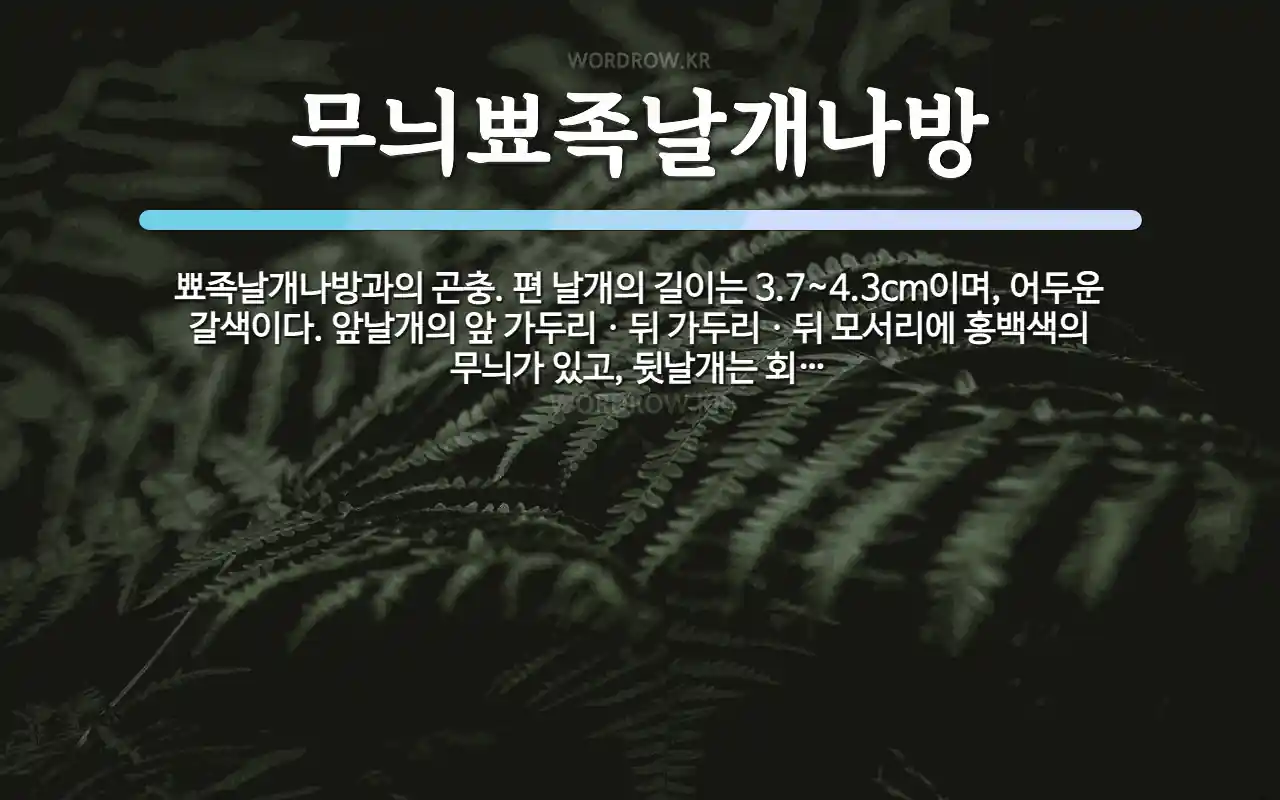 무늬뾰족날개나방 뜻 뾰족날개나방과의 곤충 편 날개의 길이는 37~43cm이며 어두운 갈색이다 앞날개의