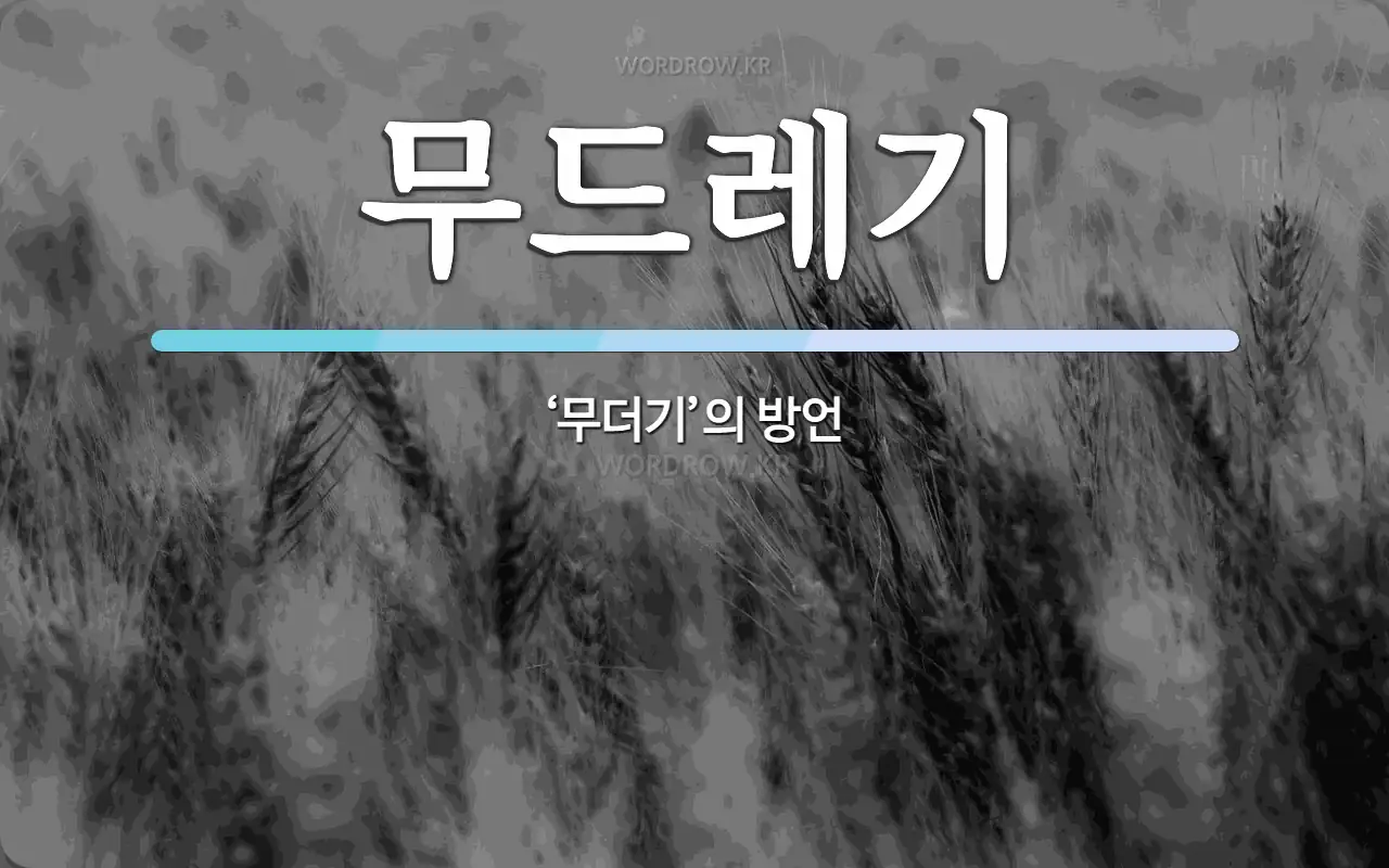 무드레기 뜻 ‘무더기의 방언