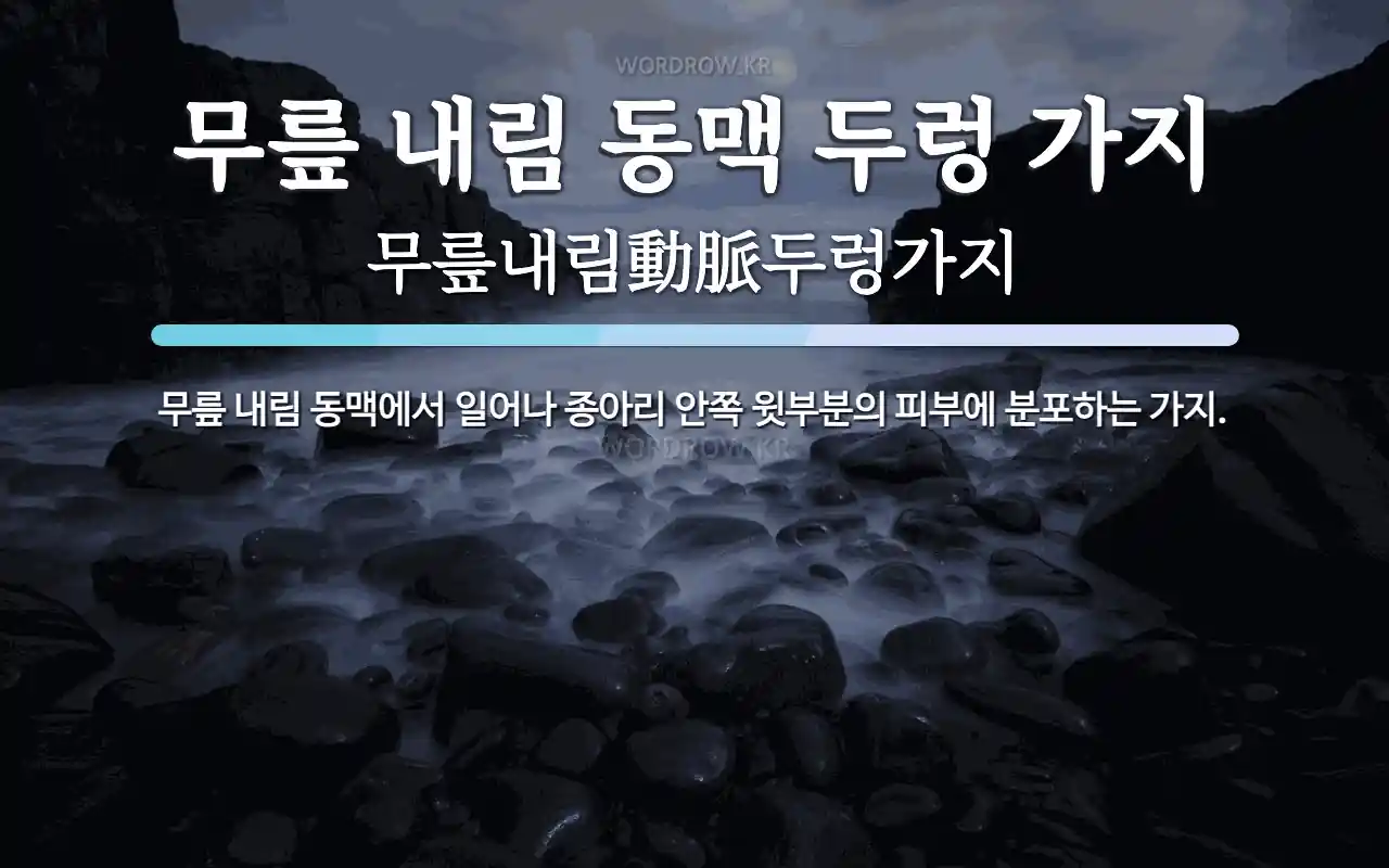 무릎 내림 동맥 두렁 가지 뜻 무릎 내림 동맥에서 일어나 종아리 안쪽 윗부분의 피부에 분포하는 가지