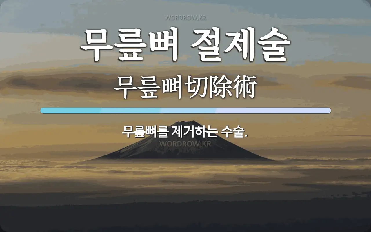 무릎뼈 절제술 뜻 무릎뼈를 제거하는 수술