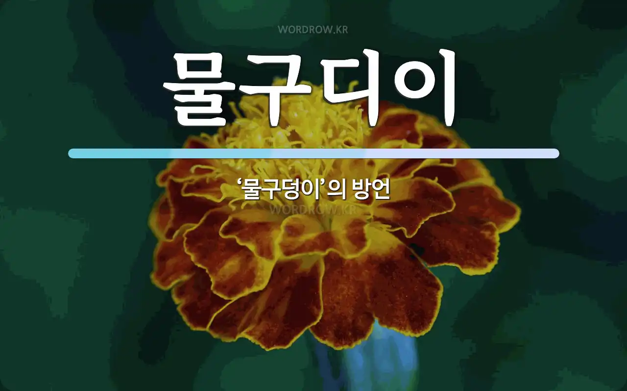 물구디이 뜻 ‘물구덩이의 방언
