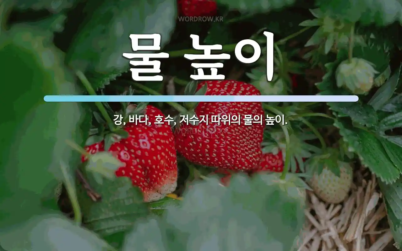 높이 영어로 배우세요 영어 실력 업그레이드하기 위한 비결은 클릭하여 확인하세요