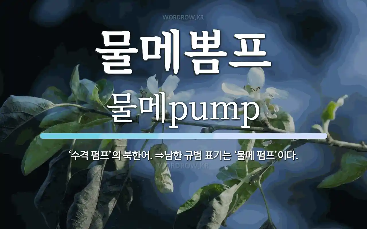 물메뽐프 뜻 ‘수격 펌프의 북한어 ⇒남한 규범 표기는 ‘물메 펌프이다