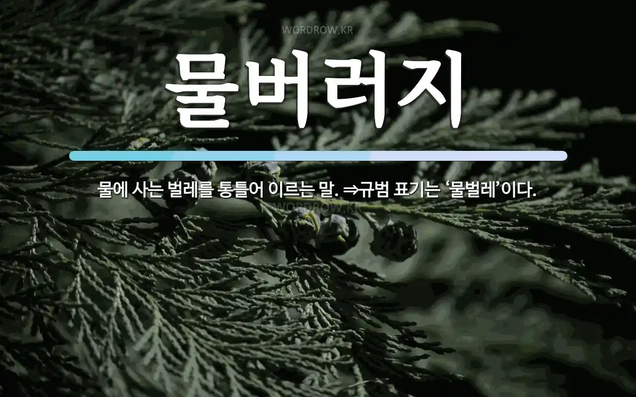 물버러지 뜻 물에 사는 벌레를 통틀어 이르는 말 ⇒규범 표기는 ‘물벌레이다
