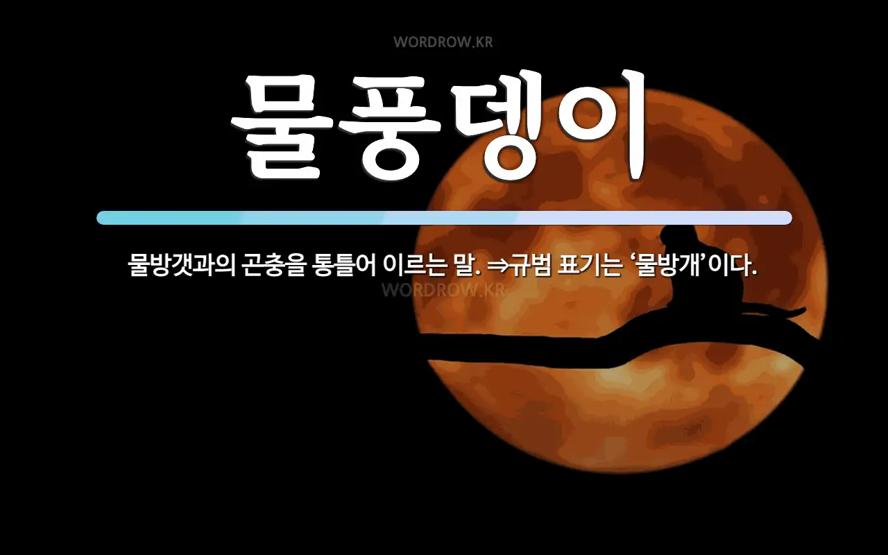 물풍뎅이 뜻 물방갯과의 곤충을 통틀어 이르는 말 ⇒규범 표기는 ‘물방개이다